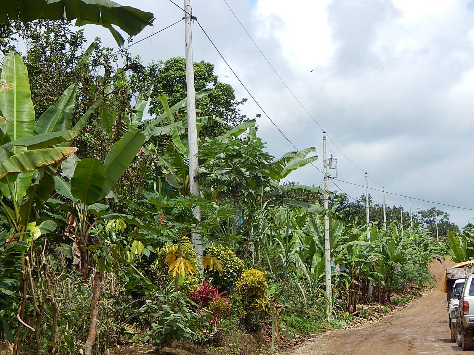 Se ejecuta proyectos FERUM BID-V en Bolívar. - CNEL EP