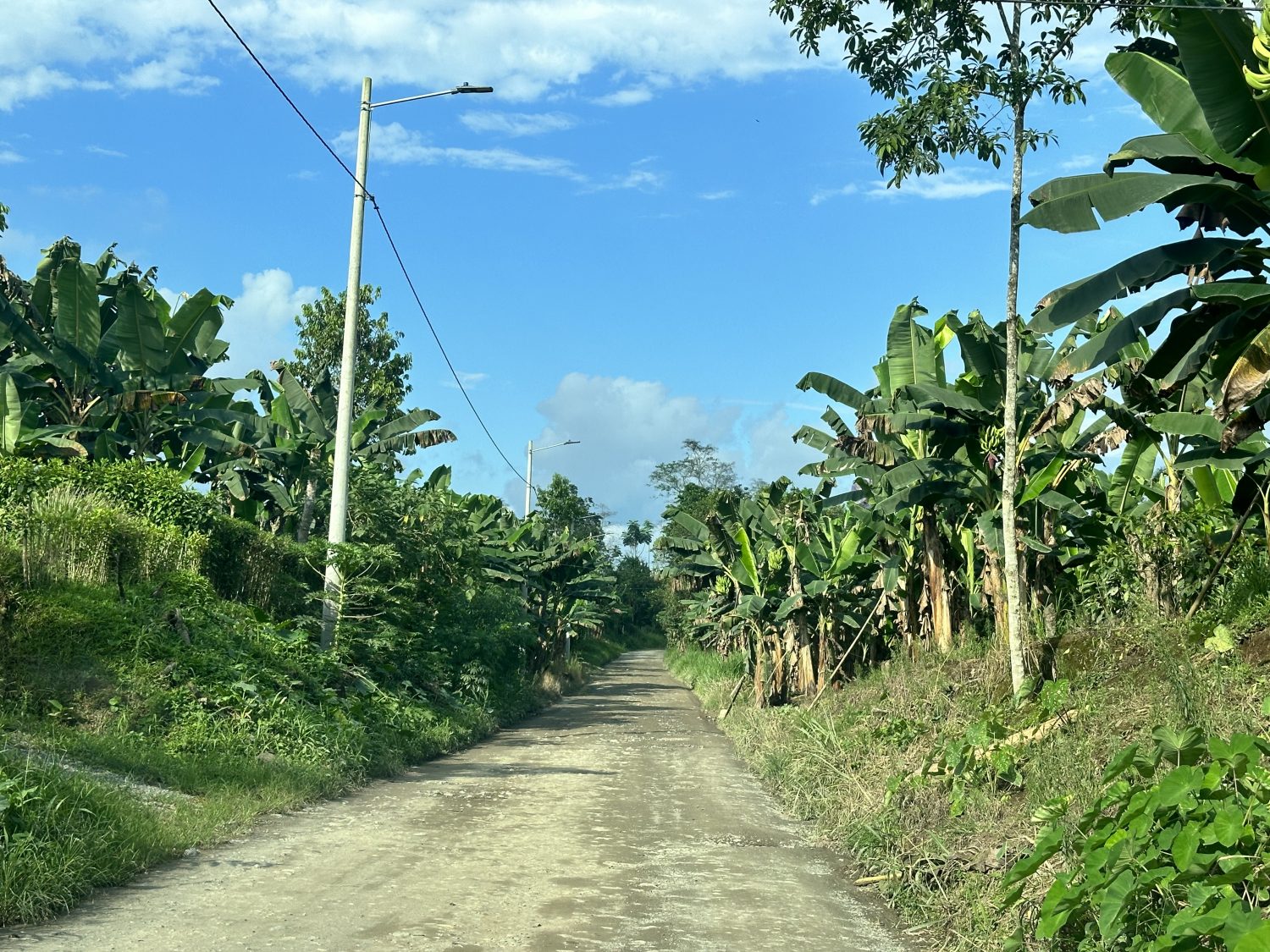Sectores rurales de Santo Domingo con nueva iluminación - CNEL EP