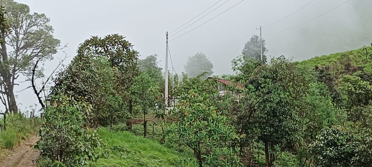 Se entregó la obra de construcción de líneas y redes eléctricas en el ...